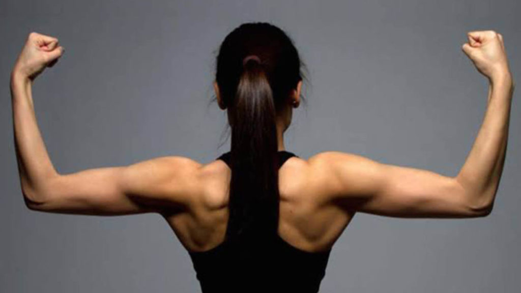 Otot Inti: Pengertian, Fungsi, dan Pentingnya untuk Kesehatan Tubuh ...