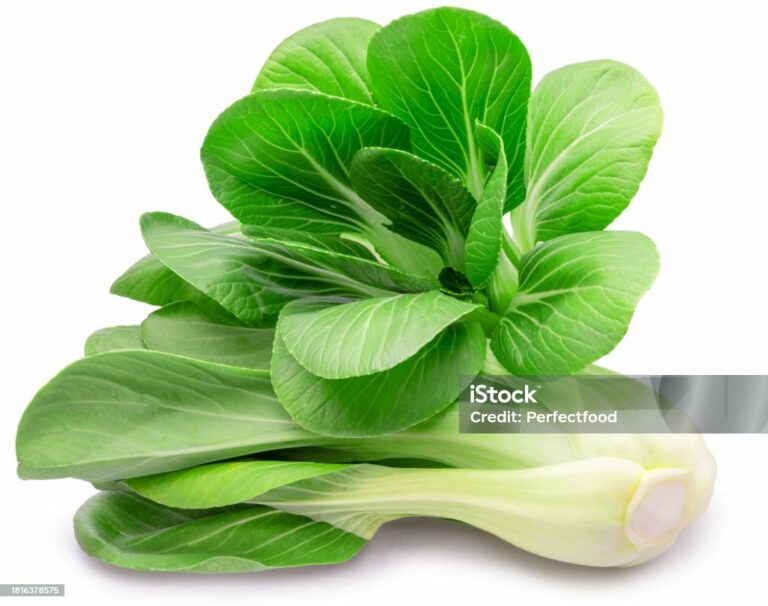 Mengenal Berbagai Jenis Sawi, Pilihan Hijau yang Menyegarkan - Berita ...