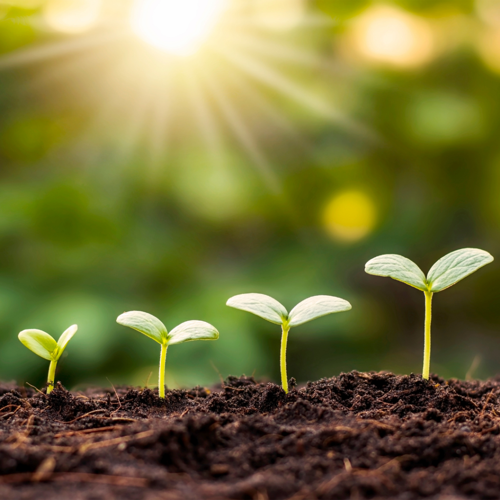 4 Tahapan Kehidupan Menurut Carl Jung, Apakah Kita Sesuai dengan ...